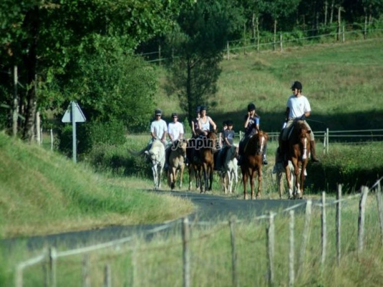 Au Bos Cheval Rouge, 价格和预订 2025 | Yumping