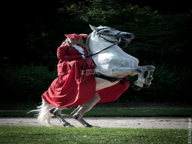 Domaine des Ecuyers, tarifs et réservations 2025 | Yumping