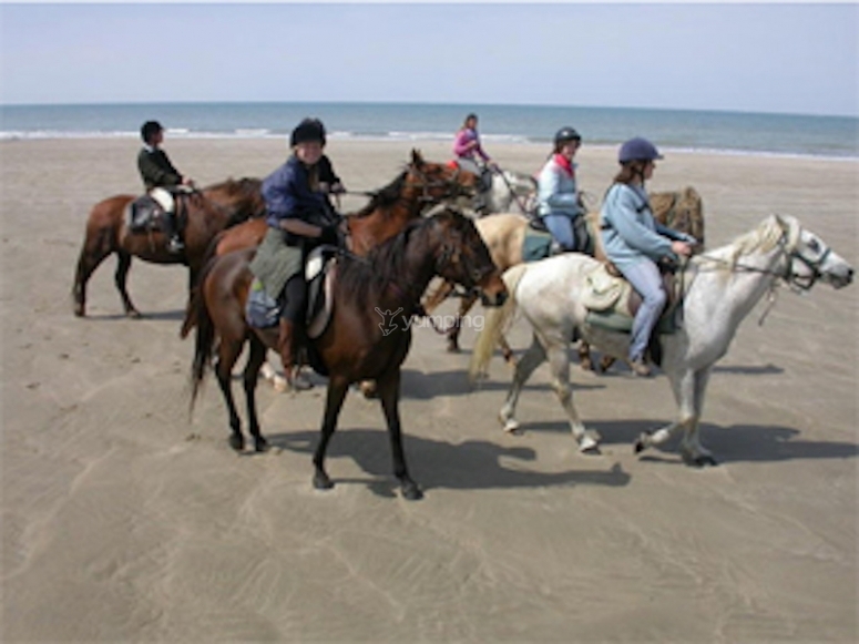 Rando à cheval à plage du Médoc Journée complète à partir de 85€ | Yumping