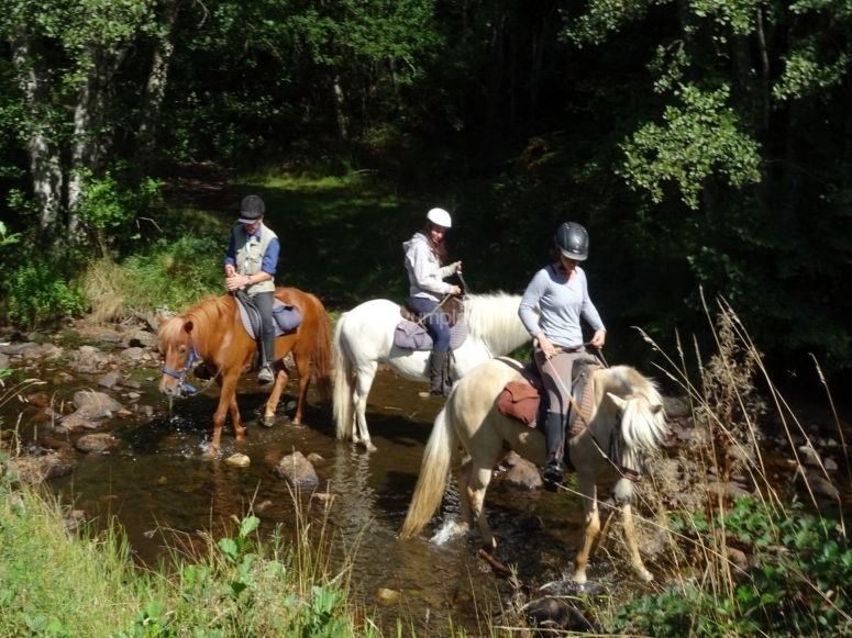 Islandais de la Rodde, tarifs et réservations 2025 | Yumping