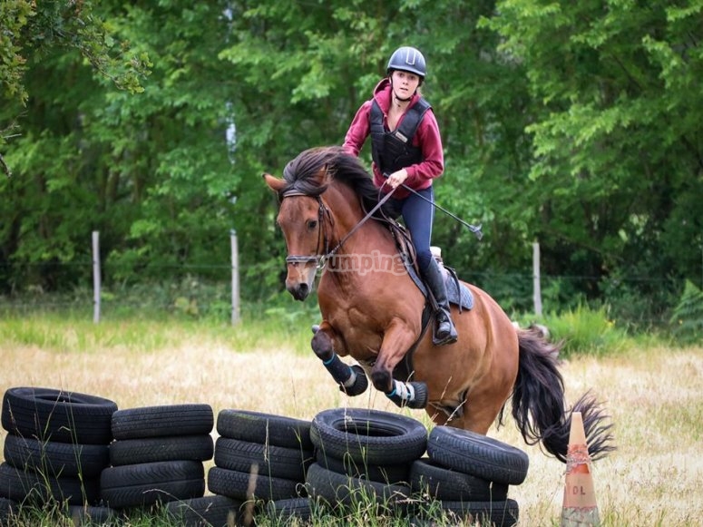 Le Haras qui rit, tarifs et réservations 2025 | Yumping