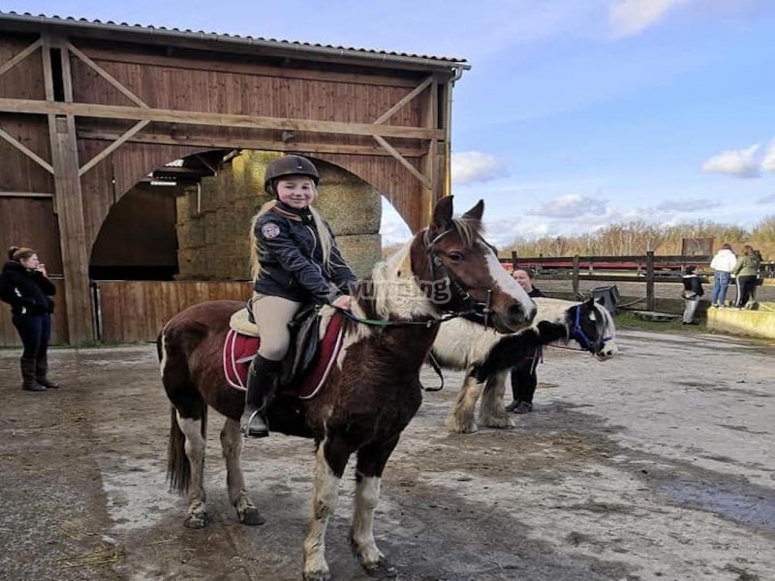 Centre équestre du Marais 59, tarifs et réservations 2025 | Yumping