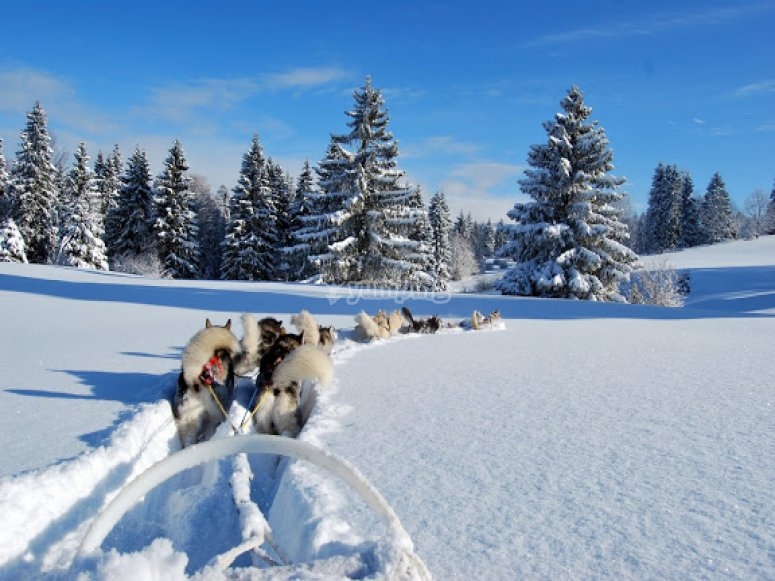 Les Attelages de la Roche Percée, tarifs et réservations 2025 | Yumping