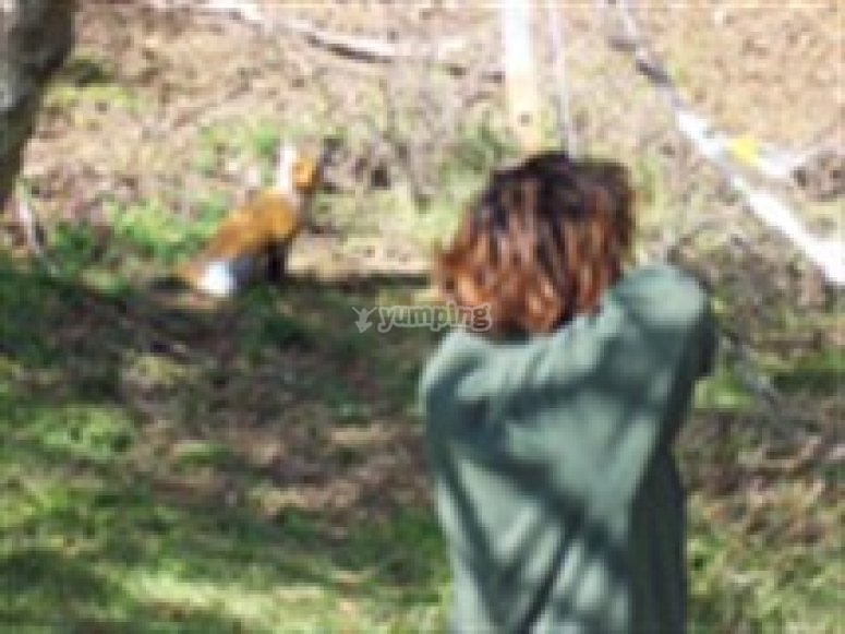 Crapa'Hutte, tarifs et réservations 2025 | Yumping