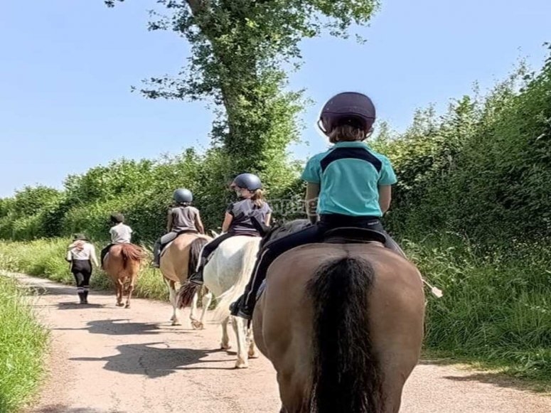 Balade à Poney pour enfants à Maux - 30 min à partir de 12€ | Yumping