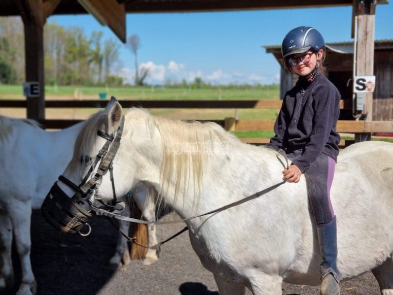 Les Korrigans, tarifs et réservations 2025 | Yumping