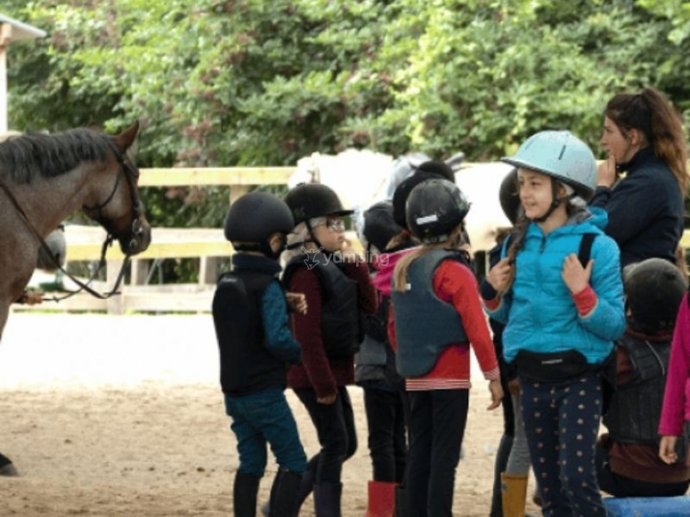 Promenade à poney en main enfants - 30 min Plurien à partir de 20 ...